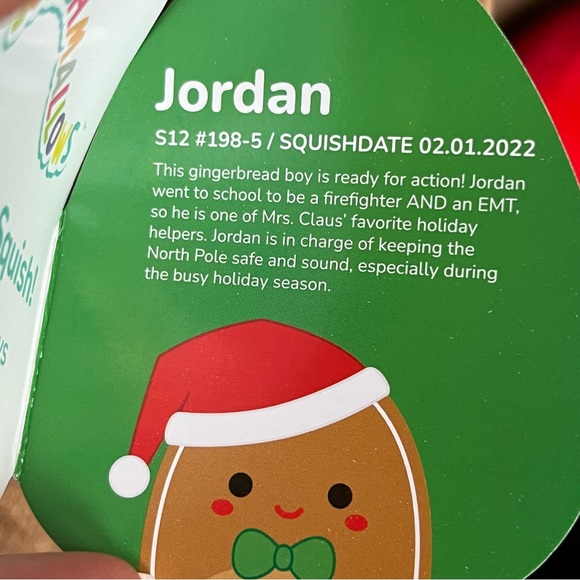 Squishmallows | Toys | Squishmallow 2 Jordan The Gingerbread Man ...